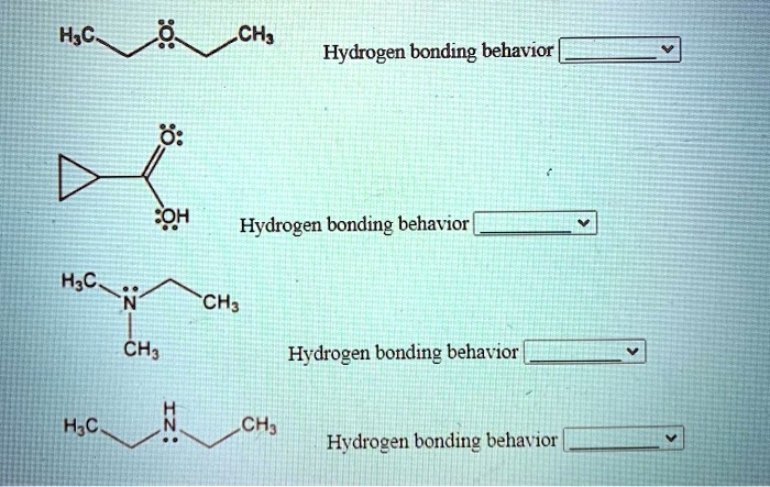 hsc hydrogen bonding behavior hydrogen bonding behavior hc ch hydrogen ...