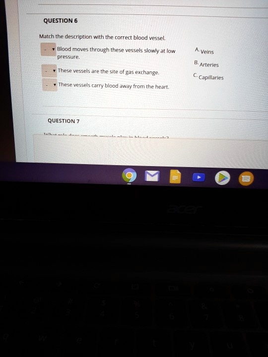 SOLVED: QUESTION 6 Match the description with the correct blood vessel. Blood moves through ...