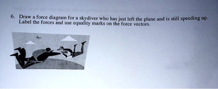 6. Draw a force diagram for a skydiver who has just left the plane and ...