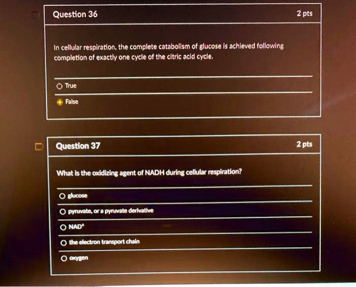 SOLVED:Question 36 In cellular respiration, the complete catabollsm of ... SOLVED:Question 36 In cellular respiration, the complete catabollsm of ...