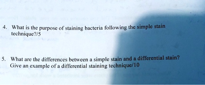 4. What is the purpose of staining bacteria following the simple stain ...