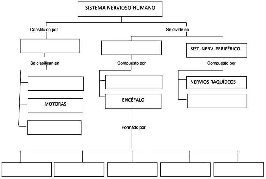 SOLVED: ayúdenme porfa lo necesito SISTEMA NERVIOSO HUMANO Constituido ... SOLVED: ayúdenme porfa lo necesito SISTEMA NERVIOSO HUMANO Constituido ...
