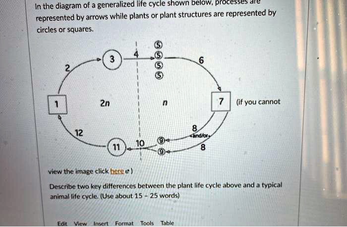 SOLVED: In the diagram of a generalized life cycle shown below ...