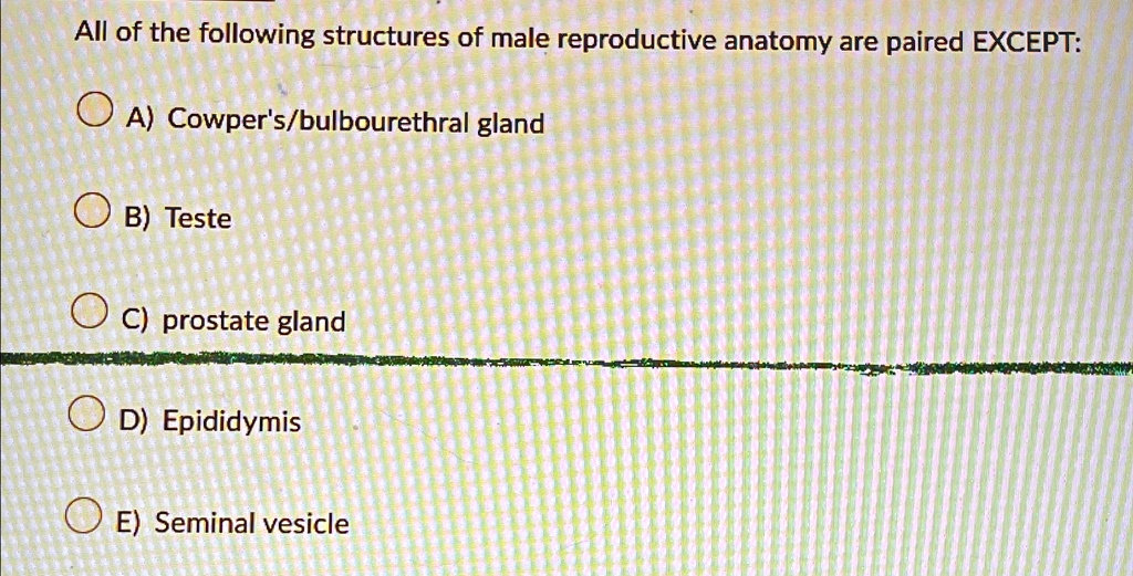all of the following structures of male reproductive anatomy are paired ...