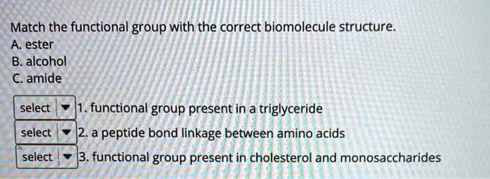 match the functional group with the correct biomolecule structure a ...