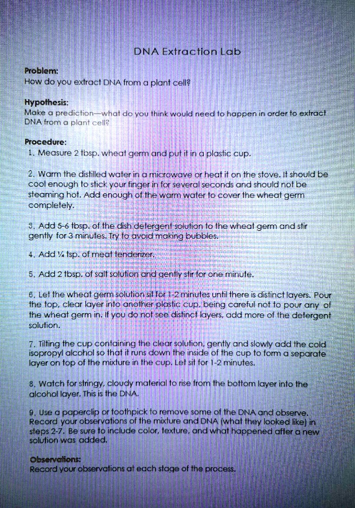 SOLVED: Title: DNA Extraction Lab Problem: How do YOU extract DNA from ...