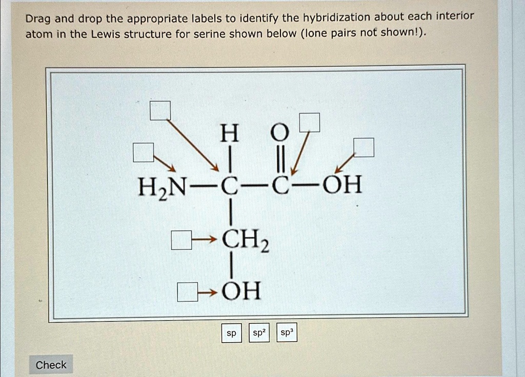 SOLVED: Drag and drop the appropriate labels to identify the ...
