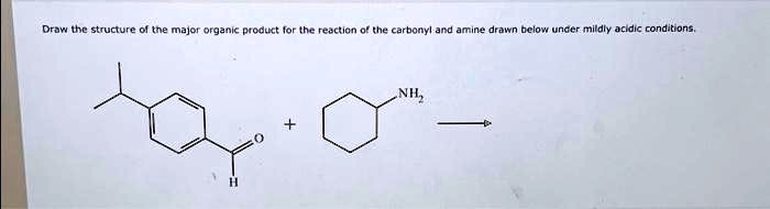 SOLVED: Draw the structure of the major organic product for the ...