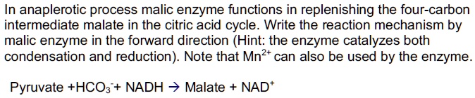SOLVED:In anaplerotic process malic enzyme functions in replenishing ...