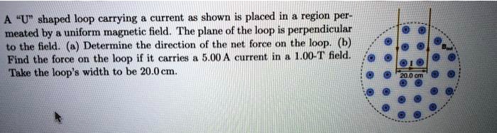 SOLVED: U" shaped loop carrying current as shown is placed in a region ...