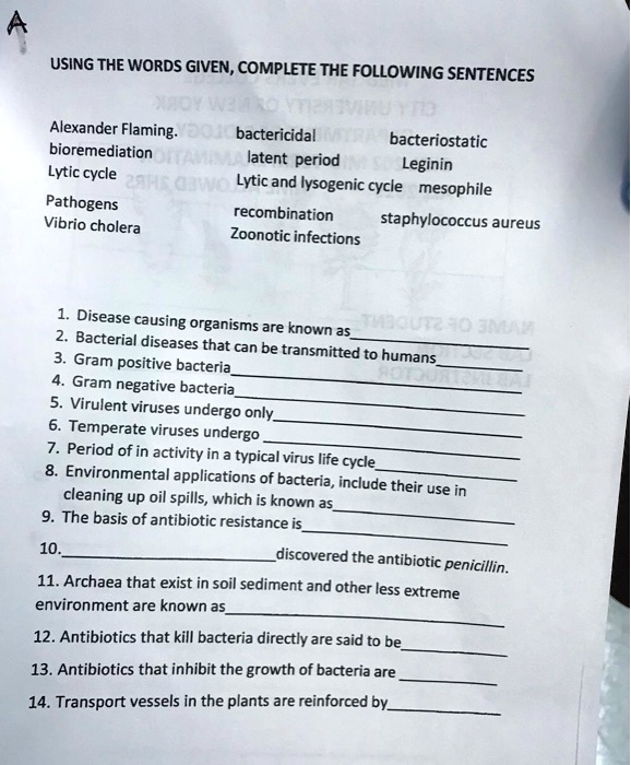 SOLVED:Using THE WORDS GIVEN, COMPLETE THE FOLLOWING SENTENCES ...