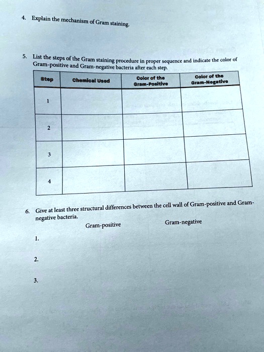 explain the mechanism of gram iining lst the steps of the gram staining procedure proper ...