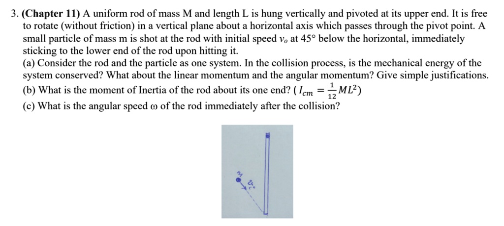 3. (Chapter 11) A uniform rod of mass M and length L is hung vertically ...