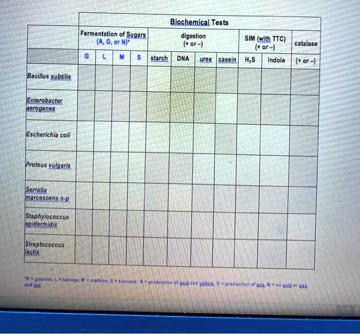 SOLVED: Text: Biochemical Tests Fermentation of Sugars (A, G; Or Ni ...