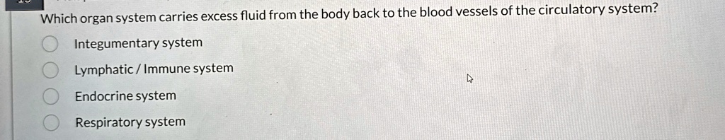 which organ system carries excess fluid from the body back to the blood ...