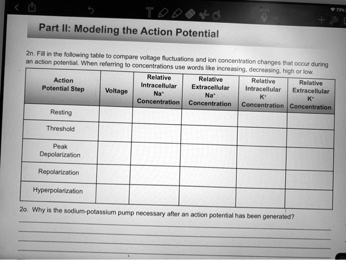 te2o8 part il modeling the action potential 2n fill in the following ...