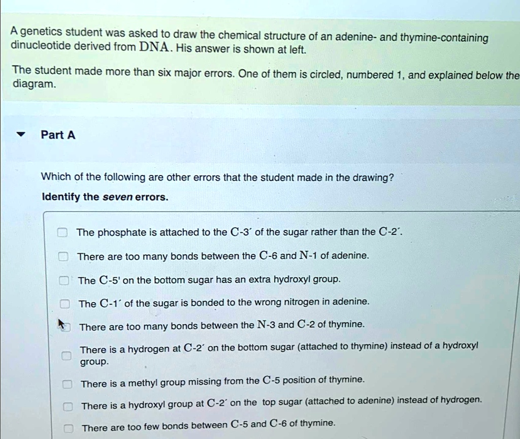 SOLVED: A genetics student was asked to draw the chemical structure of an adenine- and thymine ...