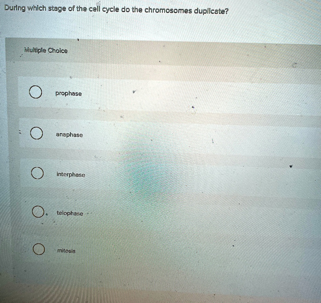 during which stage of the cell cycle do the chromosomes duplicate ...