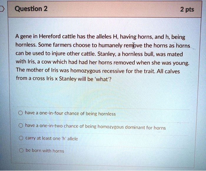 Question 2 2 pts A gene in Hereford cattle has the alleles H, having ...
