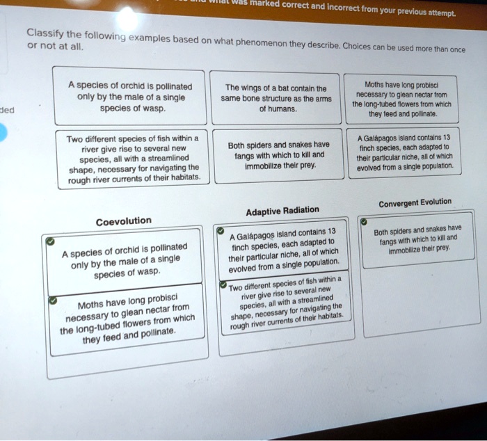 ded Was marked correct and incorrect from your previous attempt ...