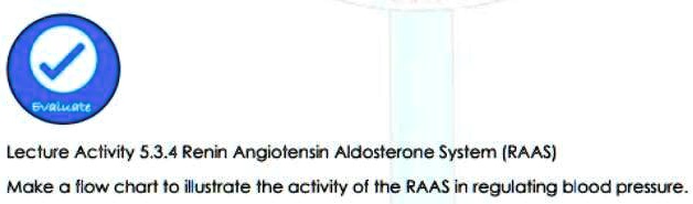 Lecture Activity 5.3.4 Renin Angiotensin Aldosterone System (RAAS) Make ...