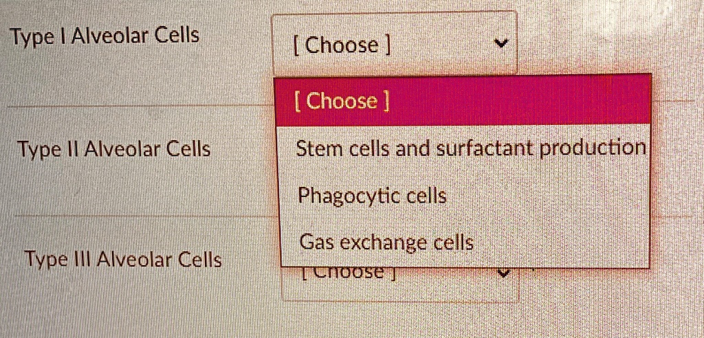 Type I Alveolar Cells [Choose] [Choose] Type II Alveolar...
