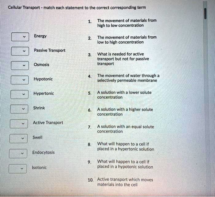 cellular transport match each statement to the correct corresponding ...