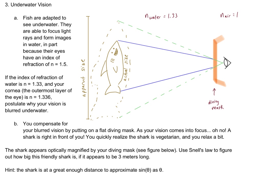 SOLVED: Underwater Vision Fish are adapted to see underwater. They are ...