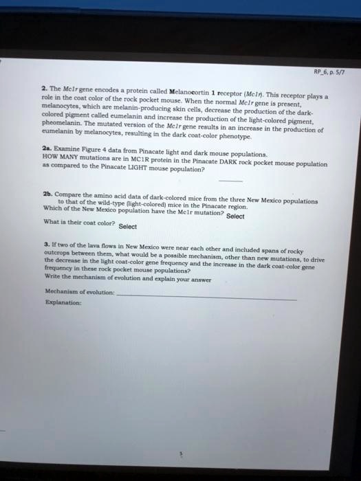 SOLVED: AP_6,0 5n Vcleeene enodcs protein callcd Melanc cortin the coat ...