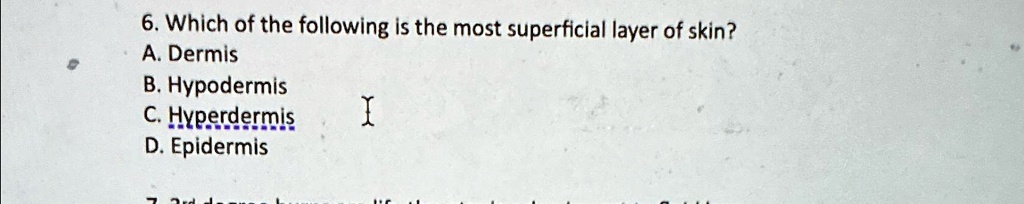 6. Which of the following is the most superficial layer of skin? A ...