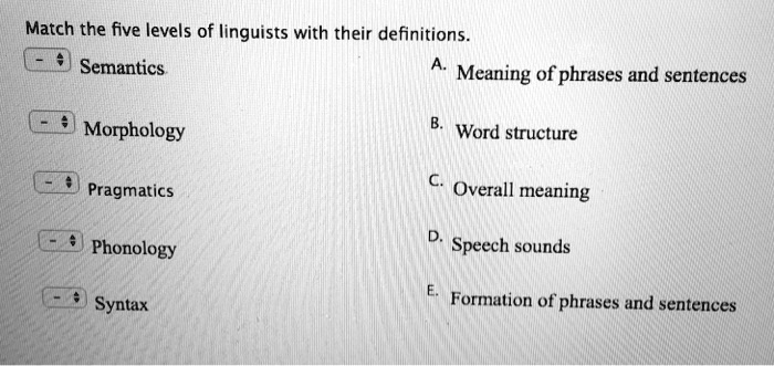 SOLVED: Match the five levels of linguistics with their definitions: A. Semantics: Overall ...