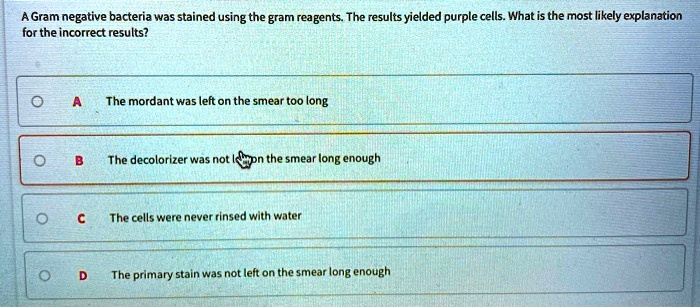 A Gram negative bacteria was stained using the gram reagents. The ...