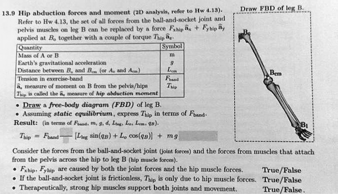 draw fbd of leg b 139 hip abduction forces and moment 2d analysis refer ...
