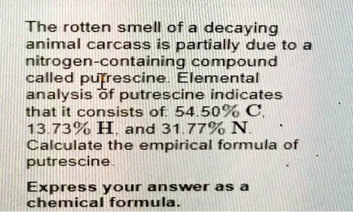 SOLVED: The rotten smell of a decaying animal carcass is partially due ...