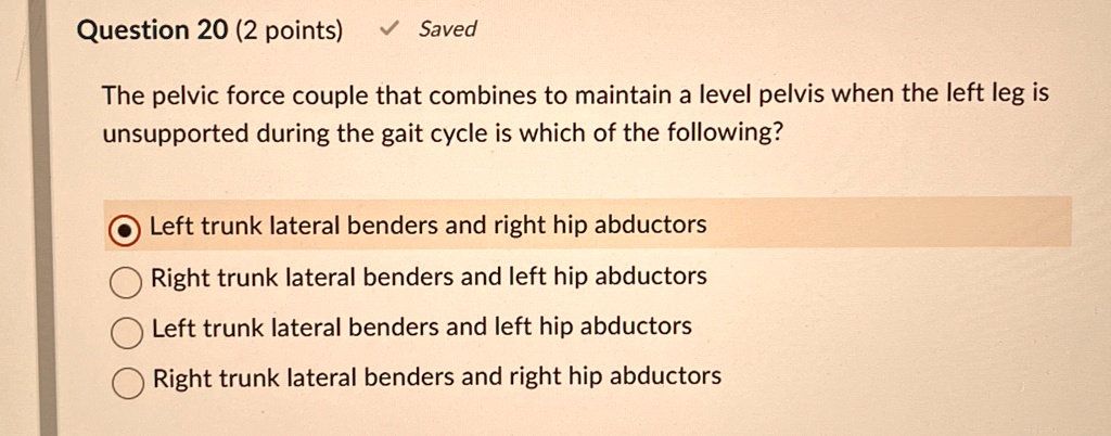 question 20 2 points the pelvic force couple that combines to maintain ...