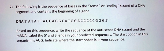 SOLVED: The following is the sequence of bases in the "sense coding ...