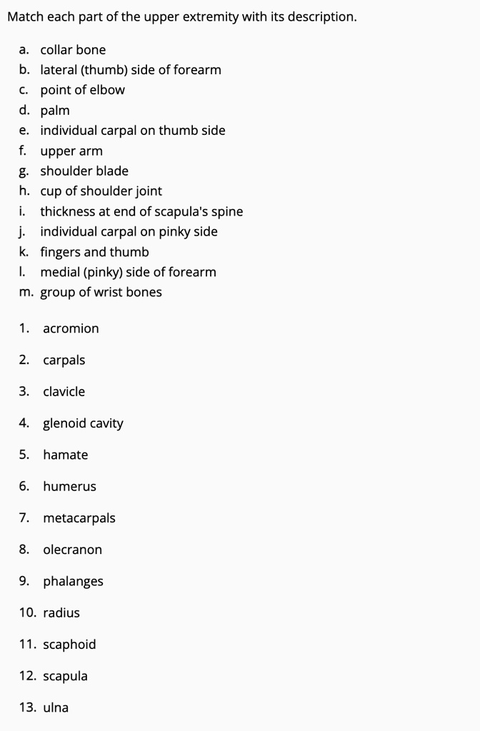Match each part of the upper extremity with its...