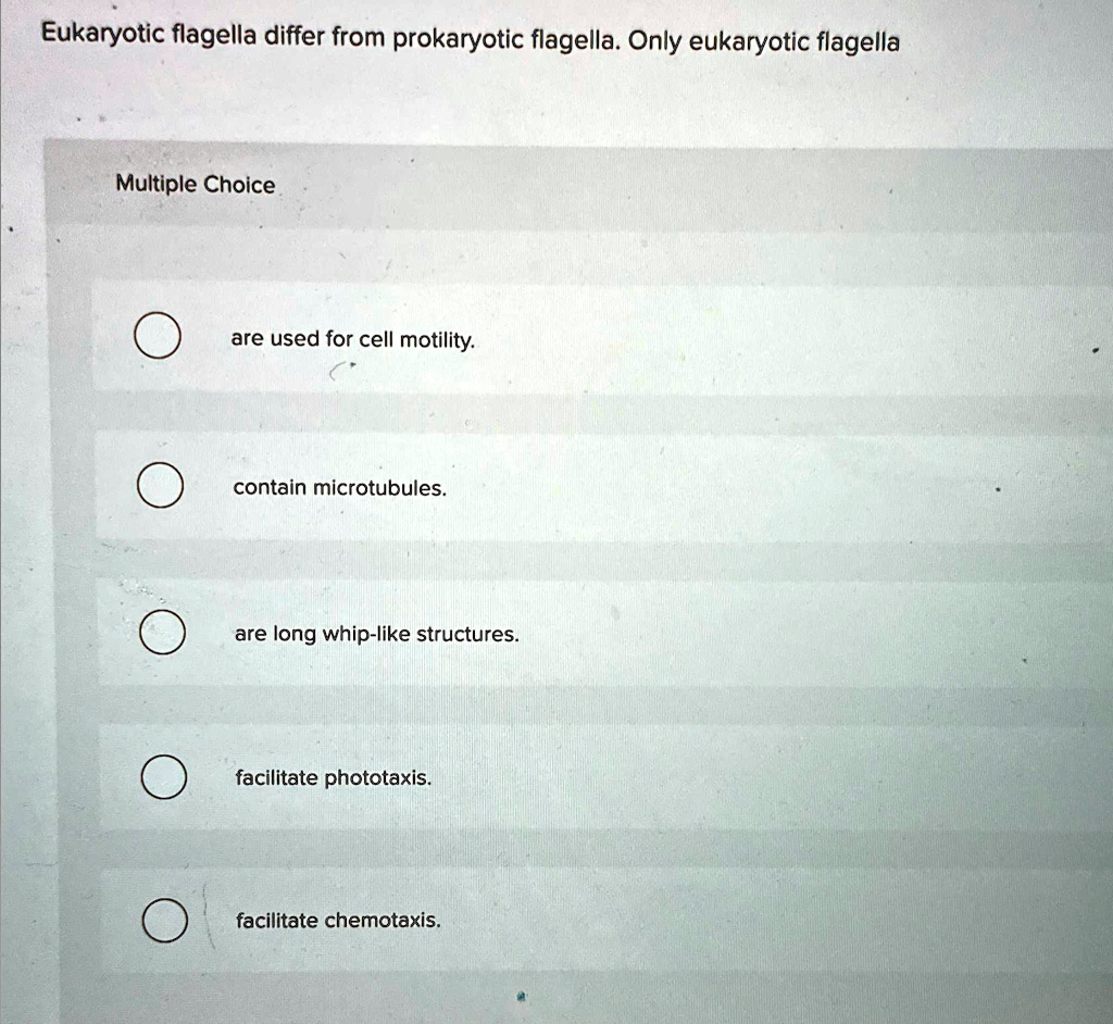 eukaryotic flagella differ from prokaryotic flagella only eukaryotic ...