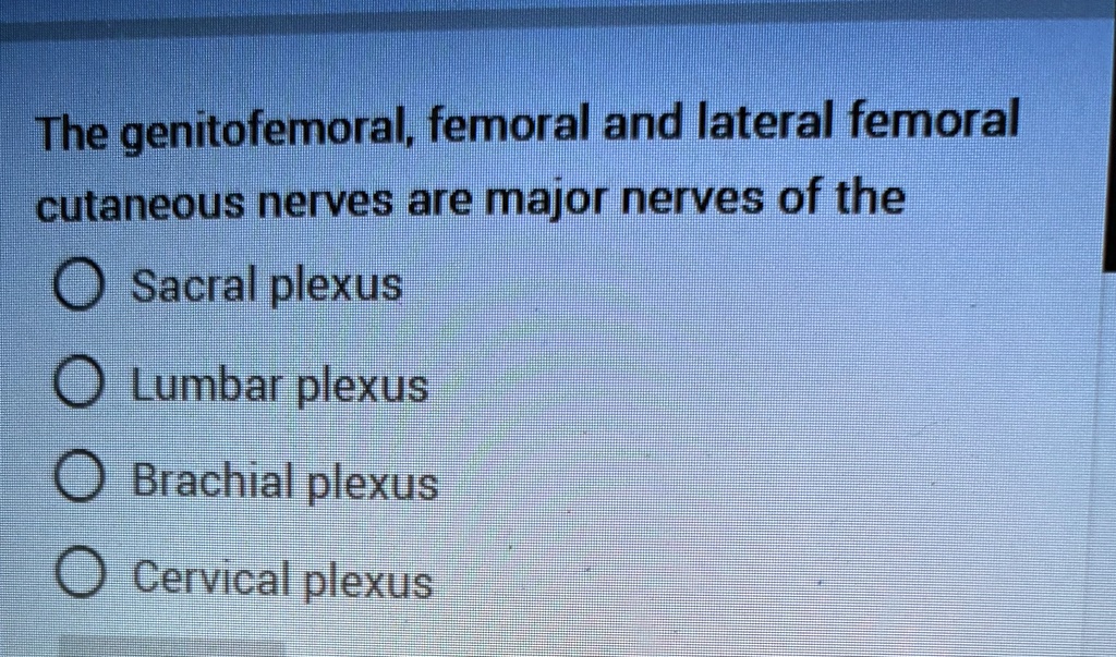 the genitofemoral femoral and lateral femoral cutaneous nerves are ...
