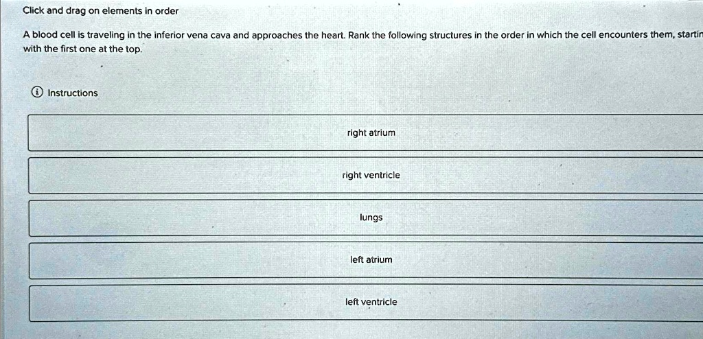 Click and drag on elements in order A blood cell is traveling in the ...