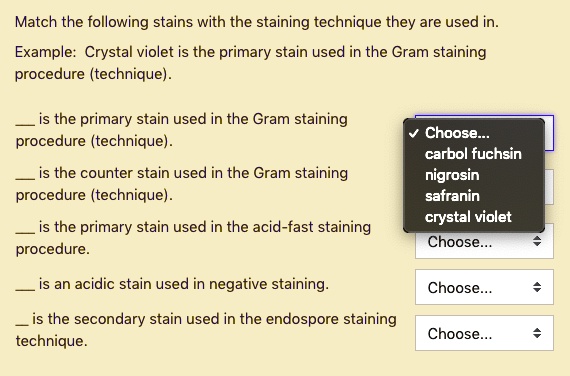 SOLVED: Match the following stains with the staining technique they are ...