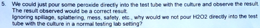 SOLVED: 'catalase test We could just pour some peroxide directly into ...