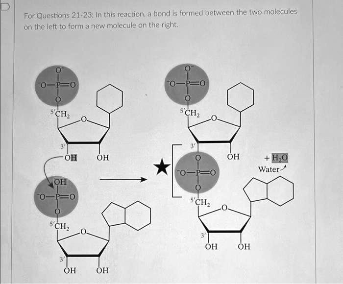 SOLVED: The molecules on the left are of The bond that is formed in ...