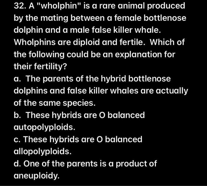 32 a wholphin is a rare animal produced by the mating between a female ...