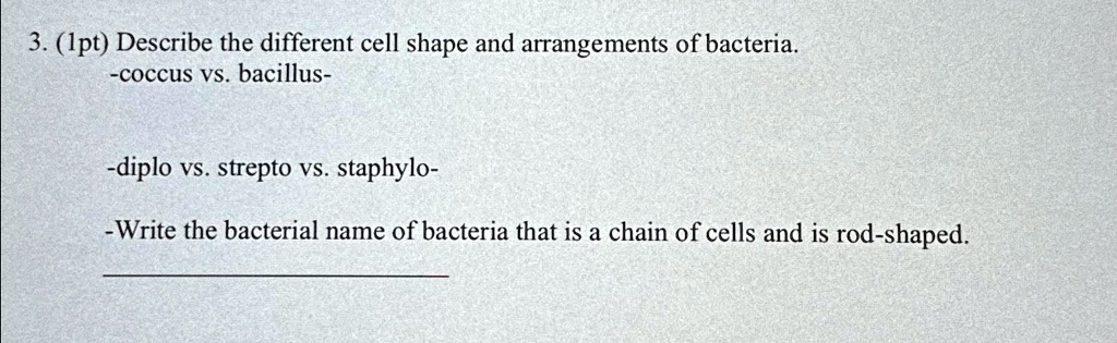 SOLVED: 1. Describe the different cell shapes and arrangements of ...