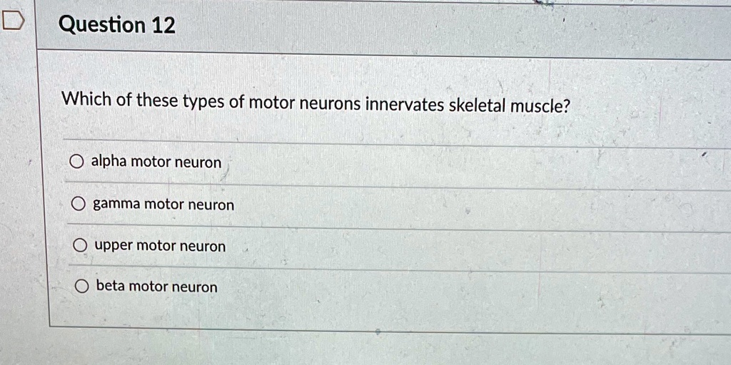 SOLVED: 'Question 12 Which of these types of motor neurons innervates ...