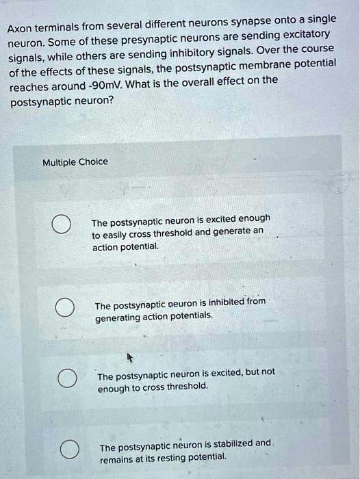 Axon terminals from several different neurons synapse onto a single neuron. Some of these ...