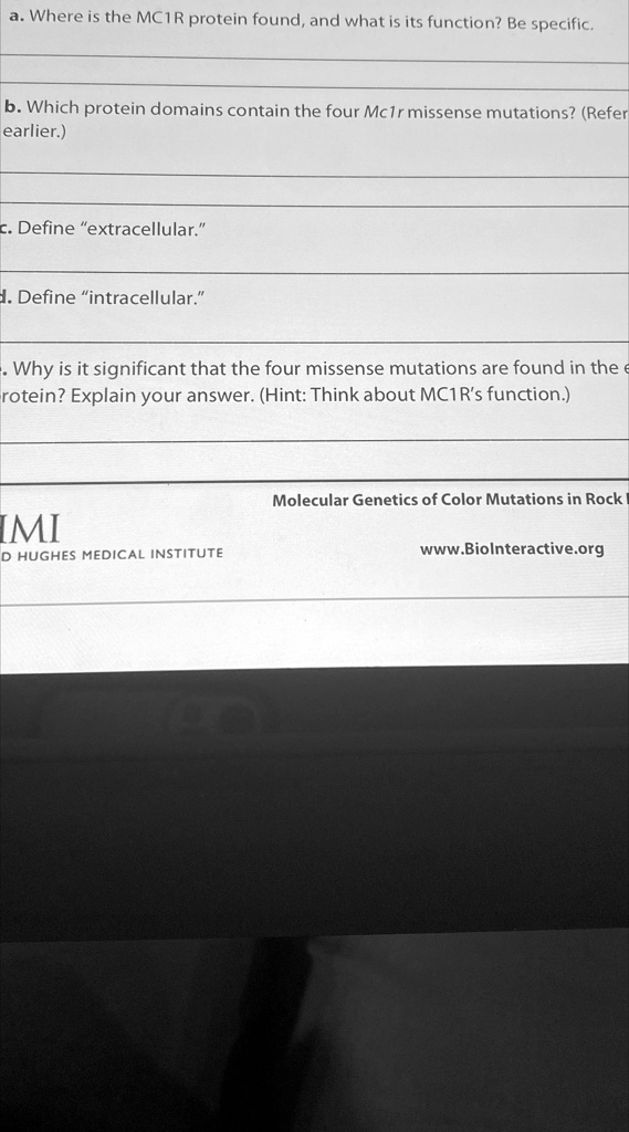 SOLVED: a. Where is the MC1R protein found, and what is its function ...