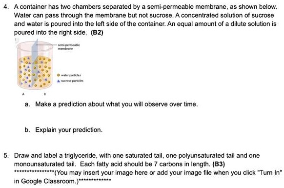 a container has two chambers separated by semi permeable membrane as shown below water can pass ...