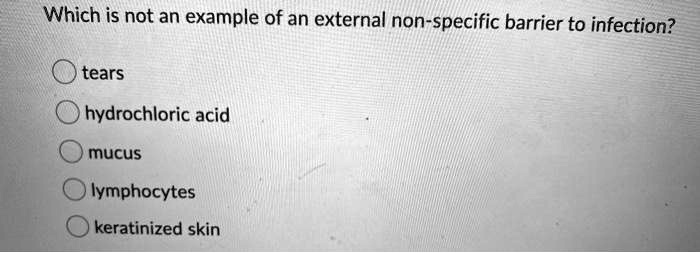 SOLVED: Which is not an example of an external non-specific barrier to ...